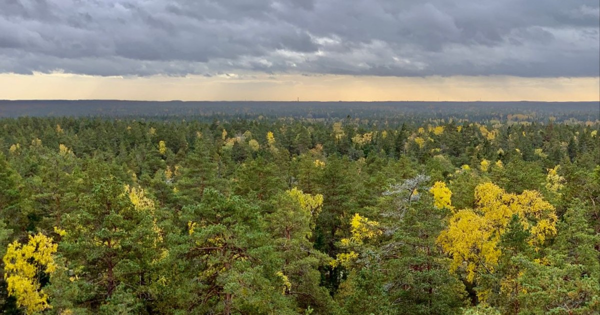 Land Lantbruk: Regeringen överväger ny skatt på jord- och skogsbruk